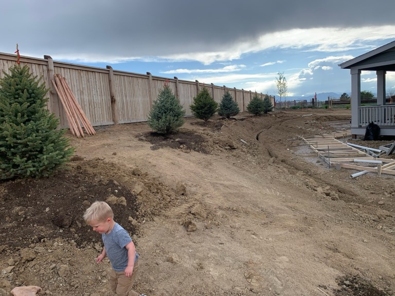 Transforming our Backyard