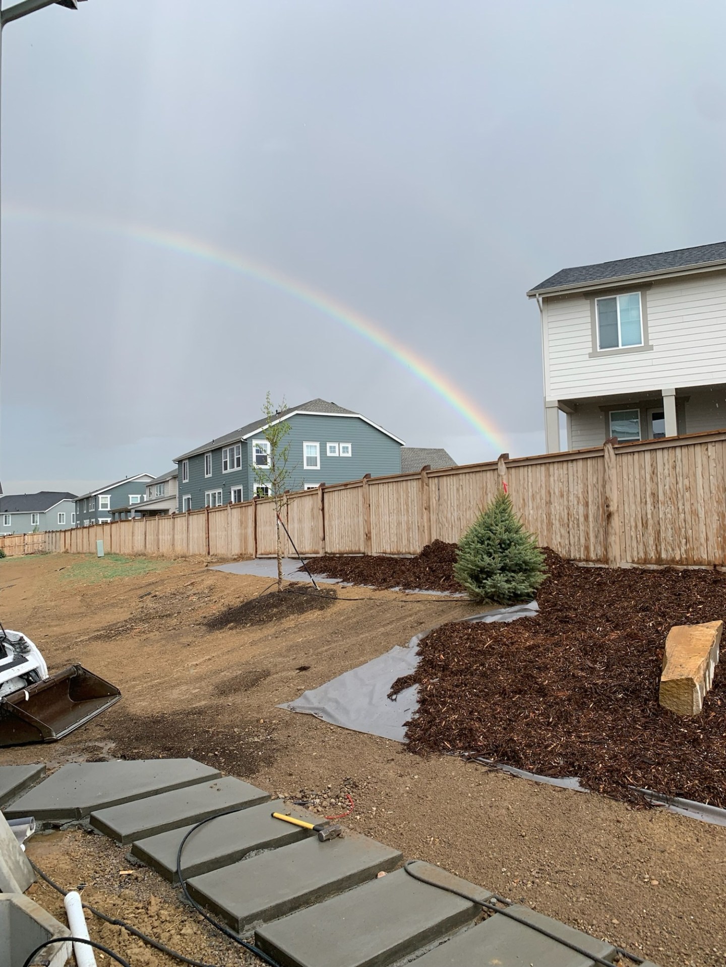 Transforming our Backyard